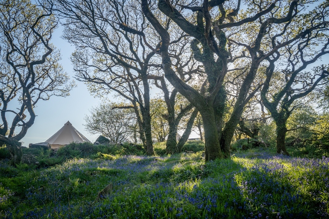 A Year in Partnership: Working with Rewilding Britain - Explore Worldwide