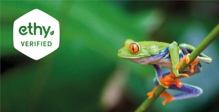 Sustainability | Responsible Travel & Tourism - Explore