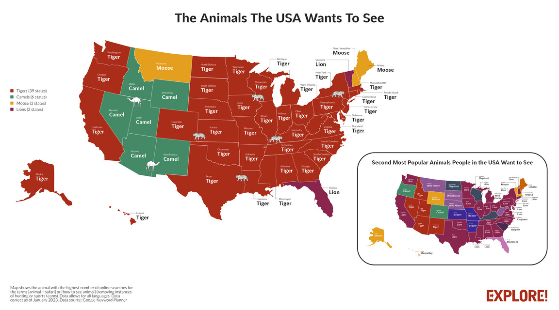 Wildlife Online Trends Report - Explore Worldwide