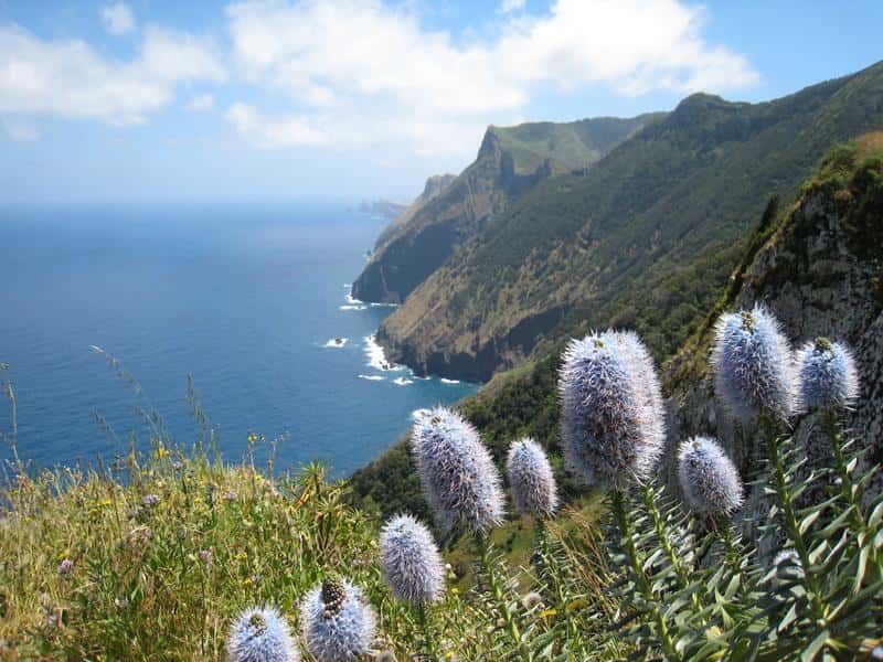 Madeira Tours | Small Group Adventure Holidays To Madeira - Explore