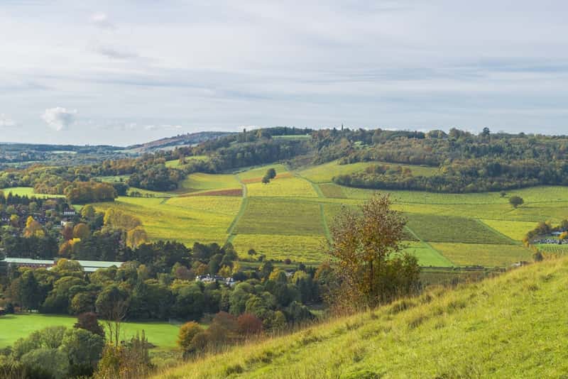 Cycling Tours in England - Explore