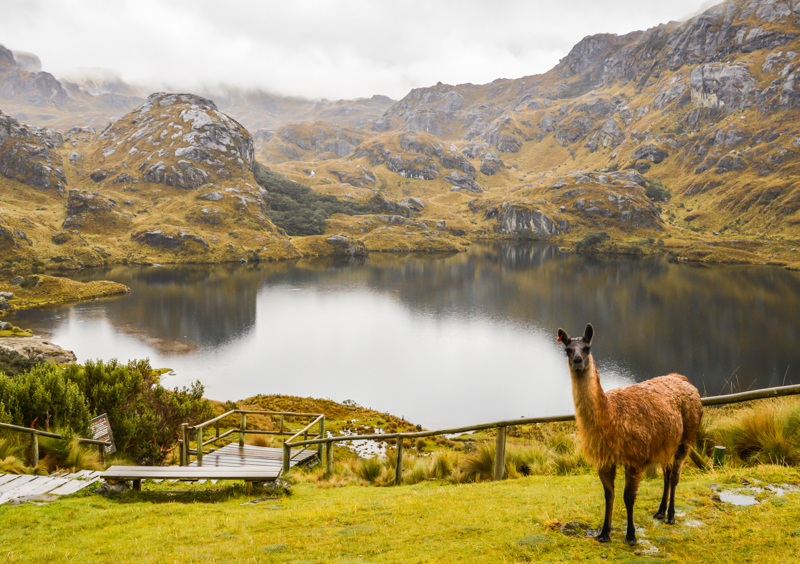 Ecuador Tours | Small Group Adventure Holidays To Ecuador - Explore